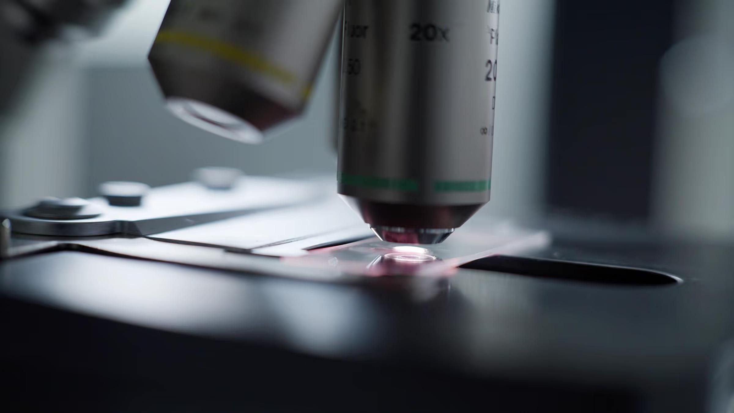 Notre héritage - Sanofi